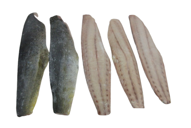 MAHI FILLET SKINON - Thủy Sản An Hải